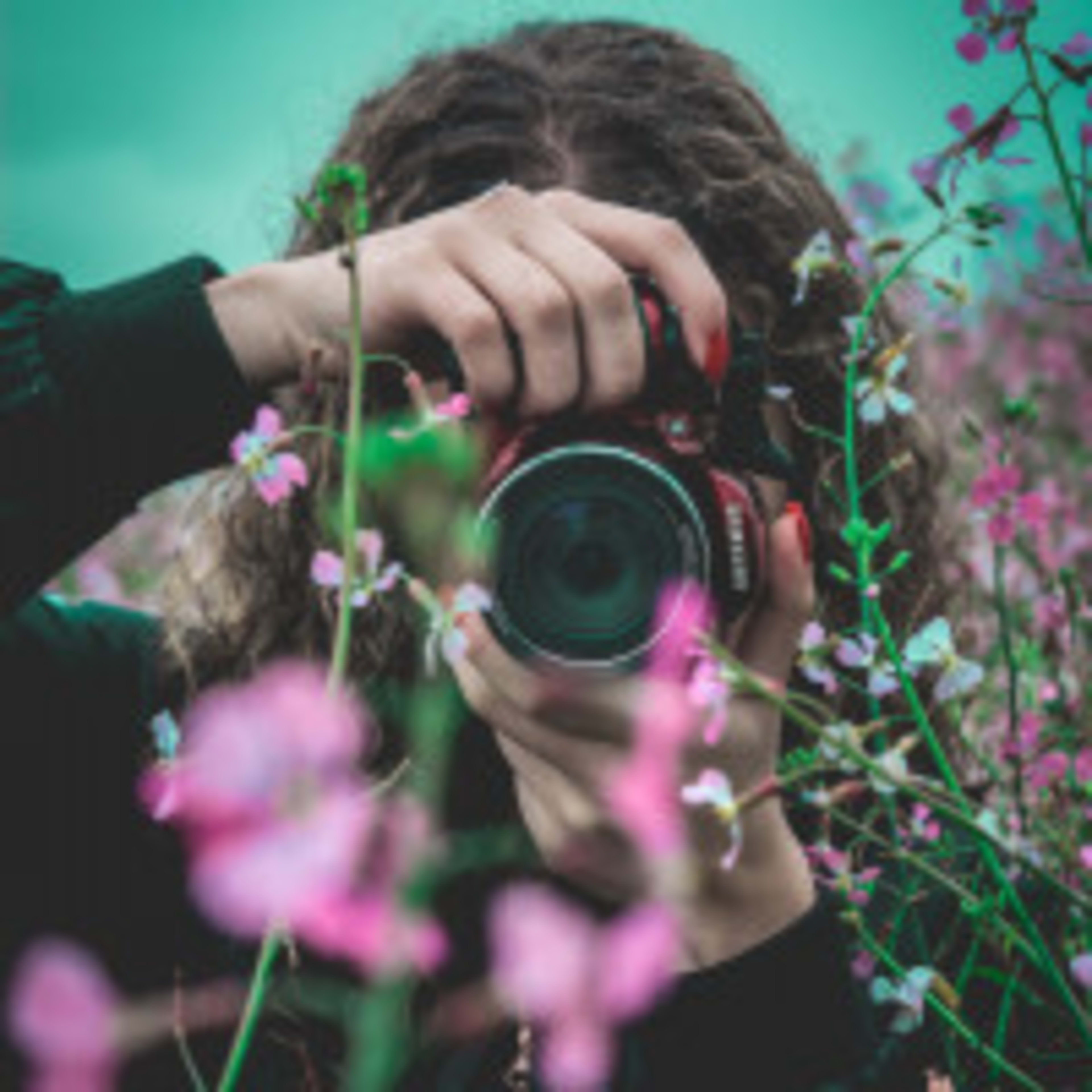 40+ Fort and Castle Architecture Terms A–Z (With Pictures) - Owlcation