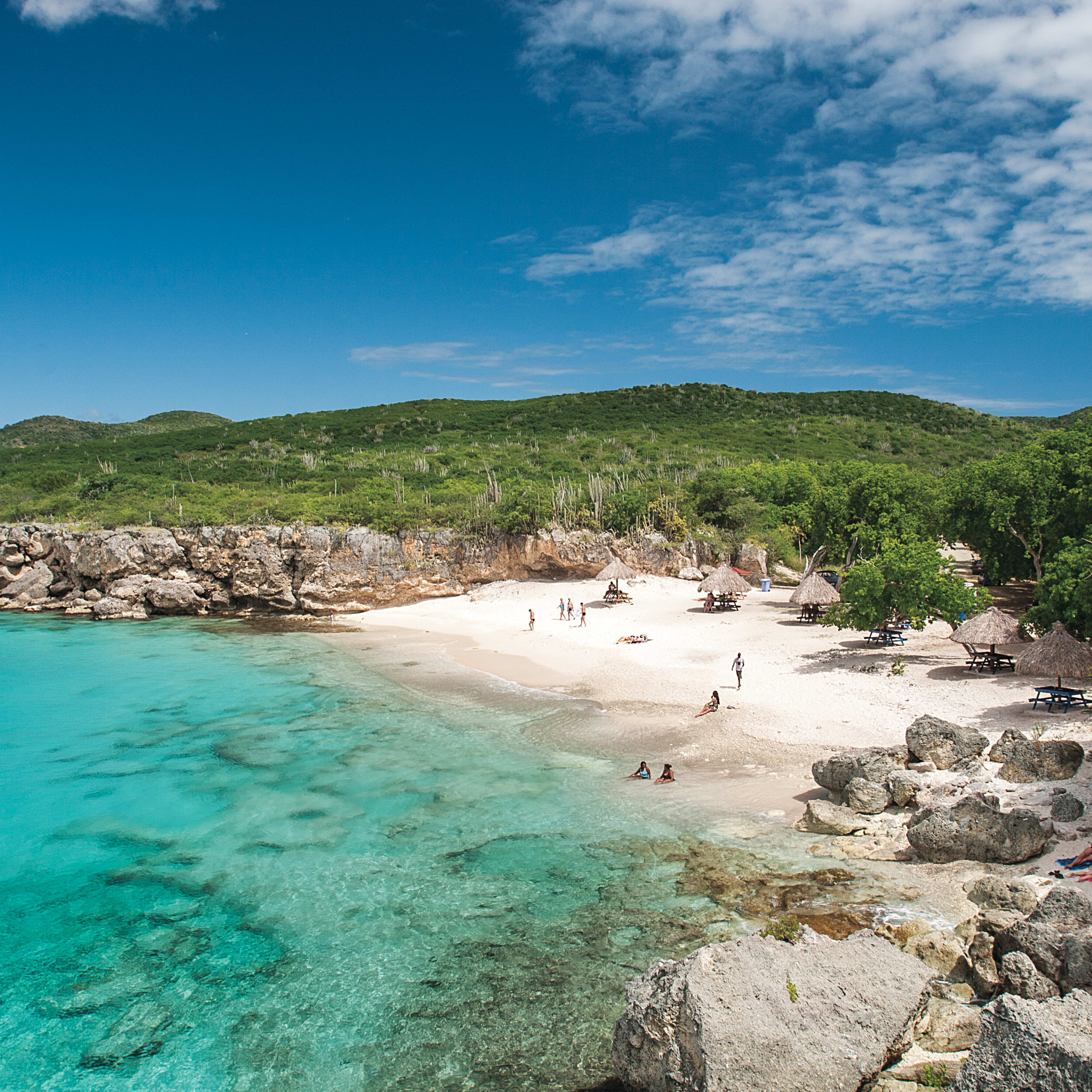 How Legendary Angler Flip Pallot Is Trying to Protect Fisheries - Men's ...