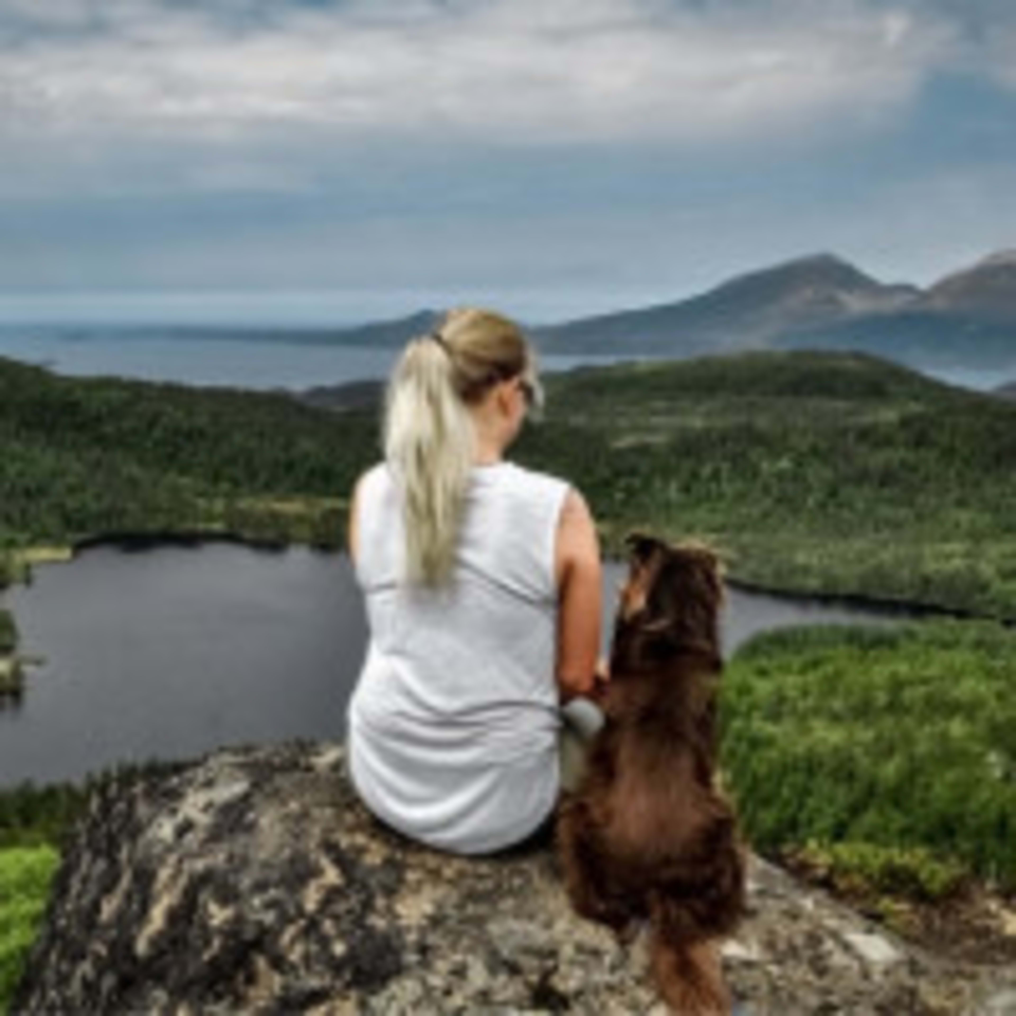 The History of Pirates: From Ancient Sea Peoples to the Golden Age ...