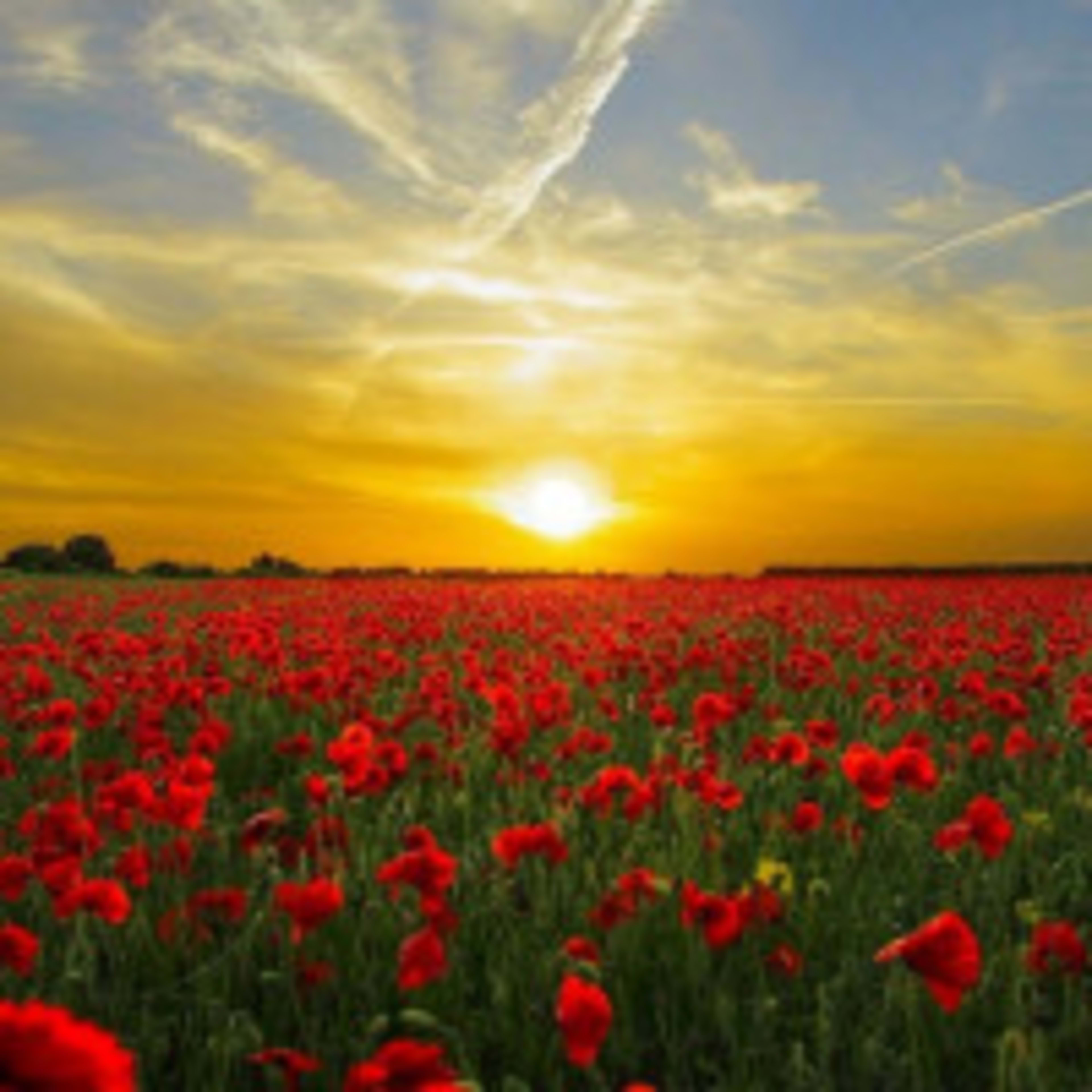 7 English Activity and Game Ideas for ESL Lessons - Owlcation