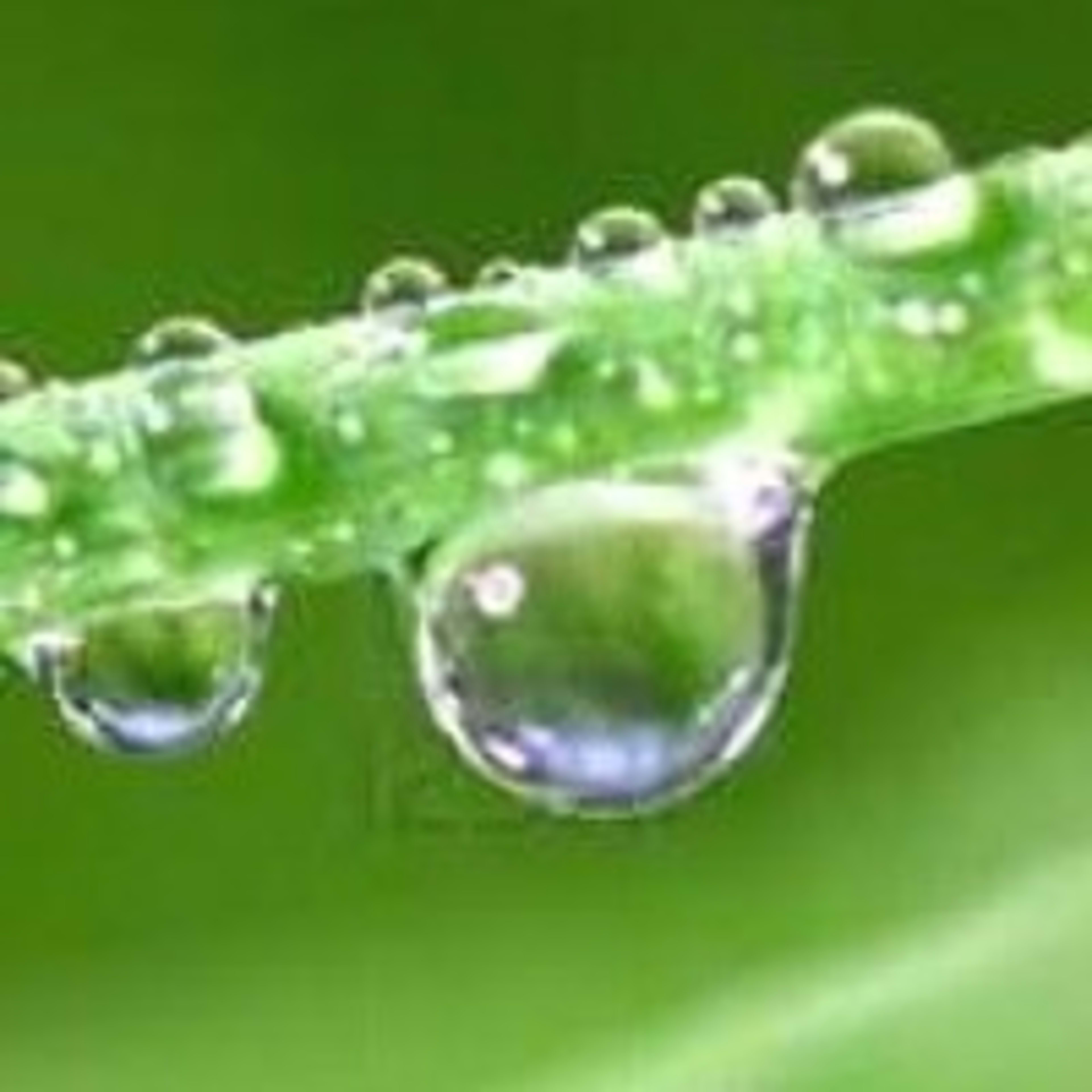 Why Water Is Important to Life - Owlcation