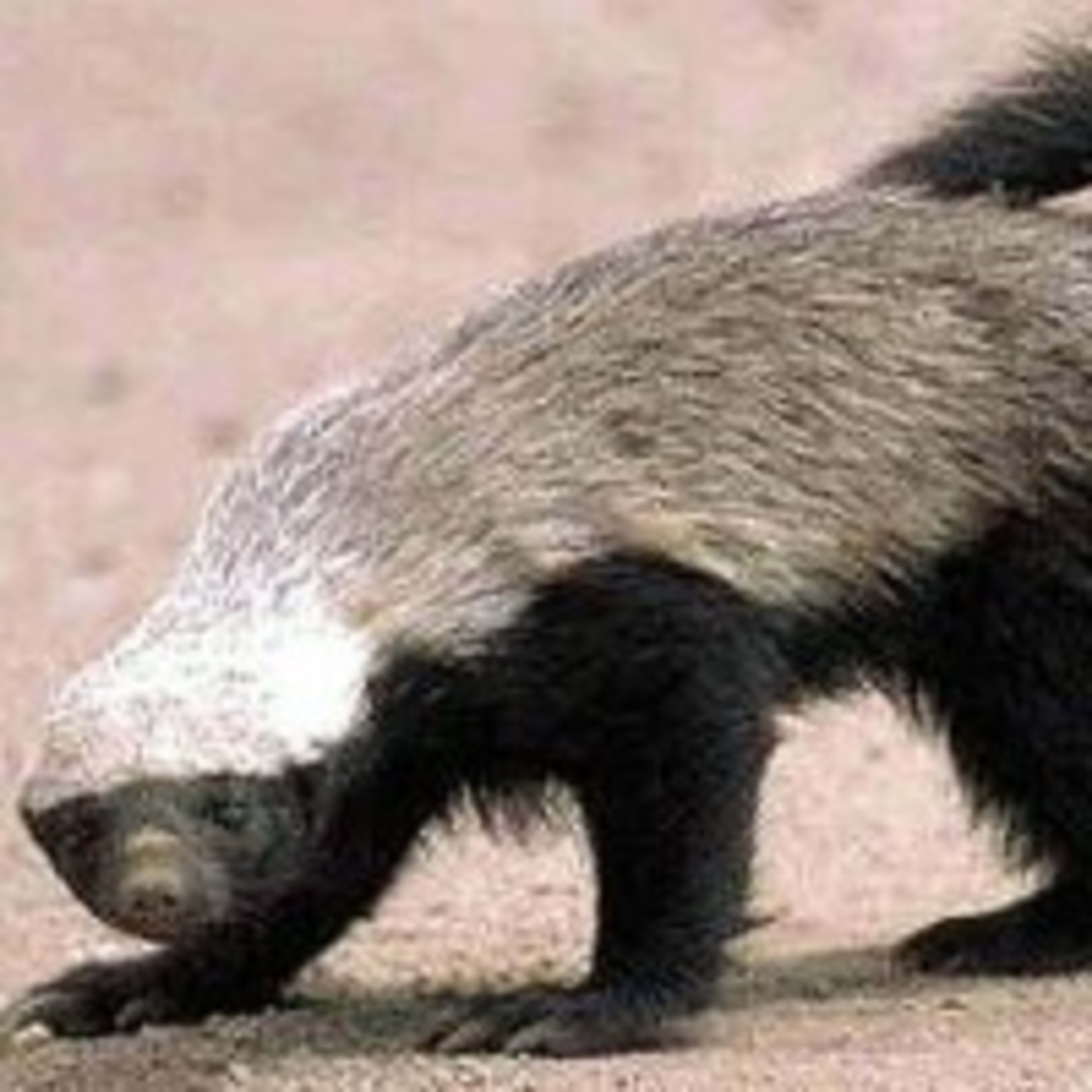 Key Concepts of the Philosophy of Plato - Owlcation