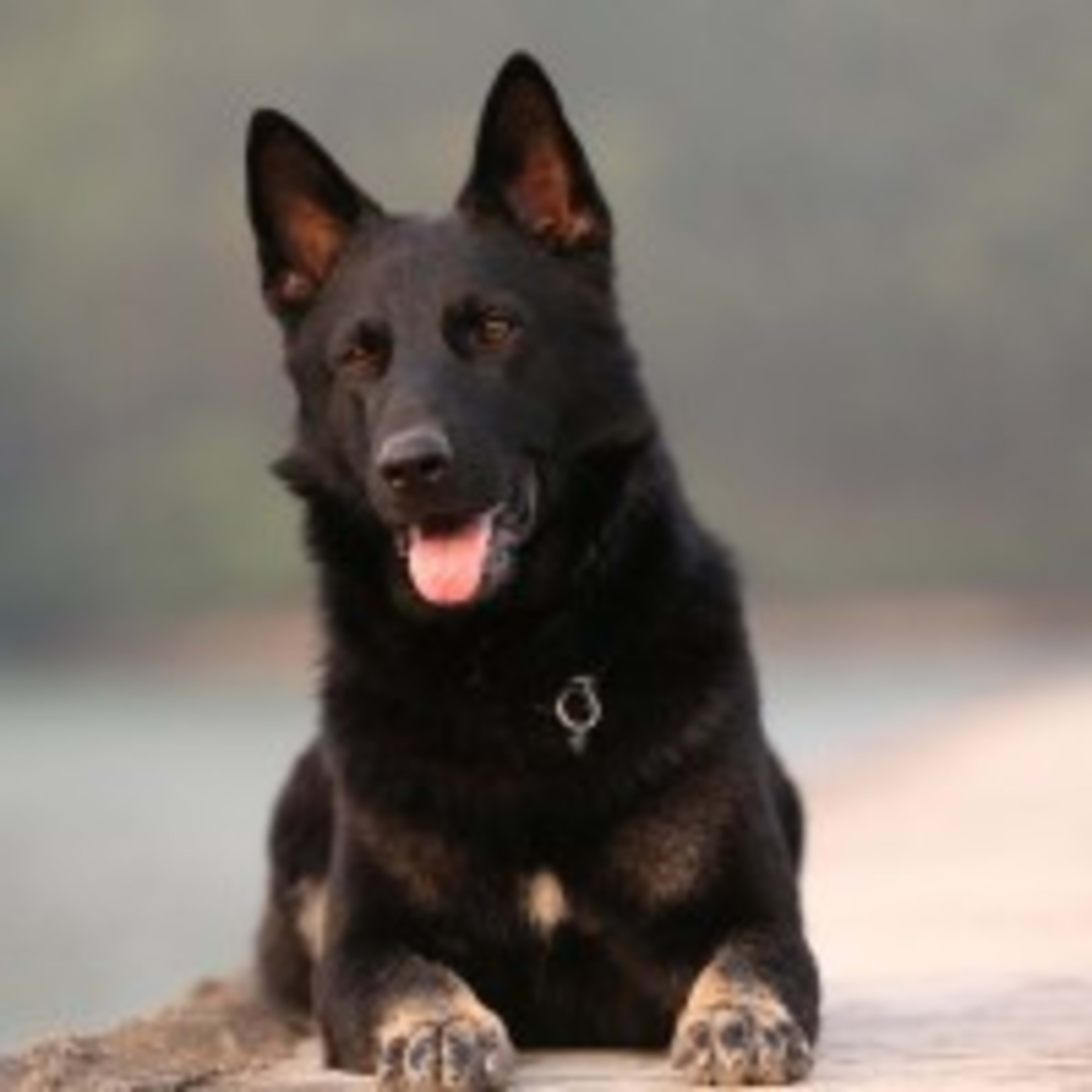 Apache Maven Tutorial for Java Projects - Owlcation