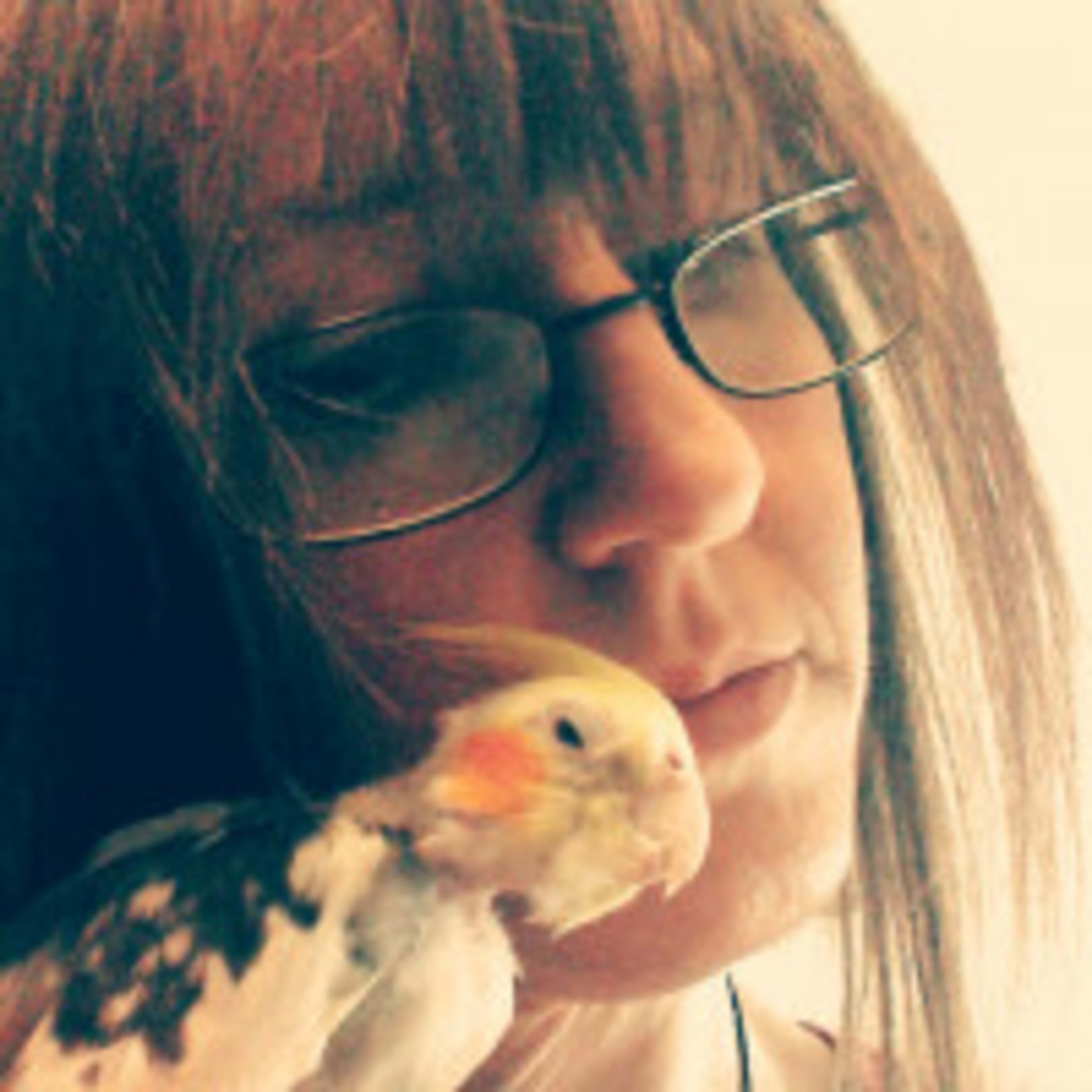 Locust vs. Cicada: Are They the Same Thing? - Owlcation