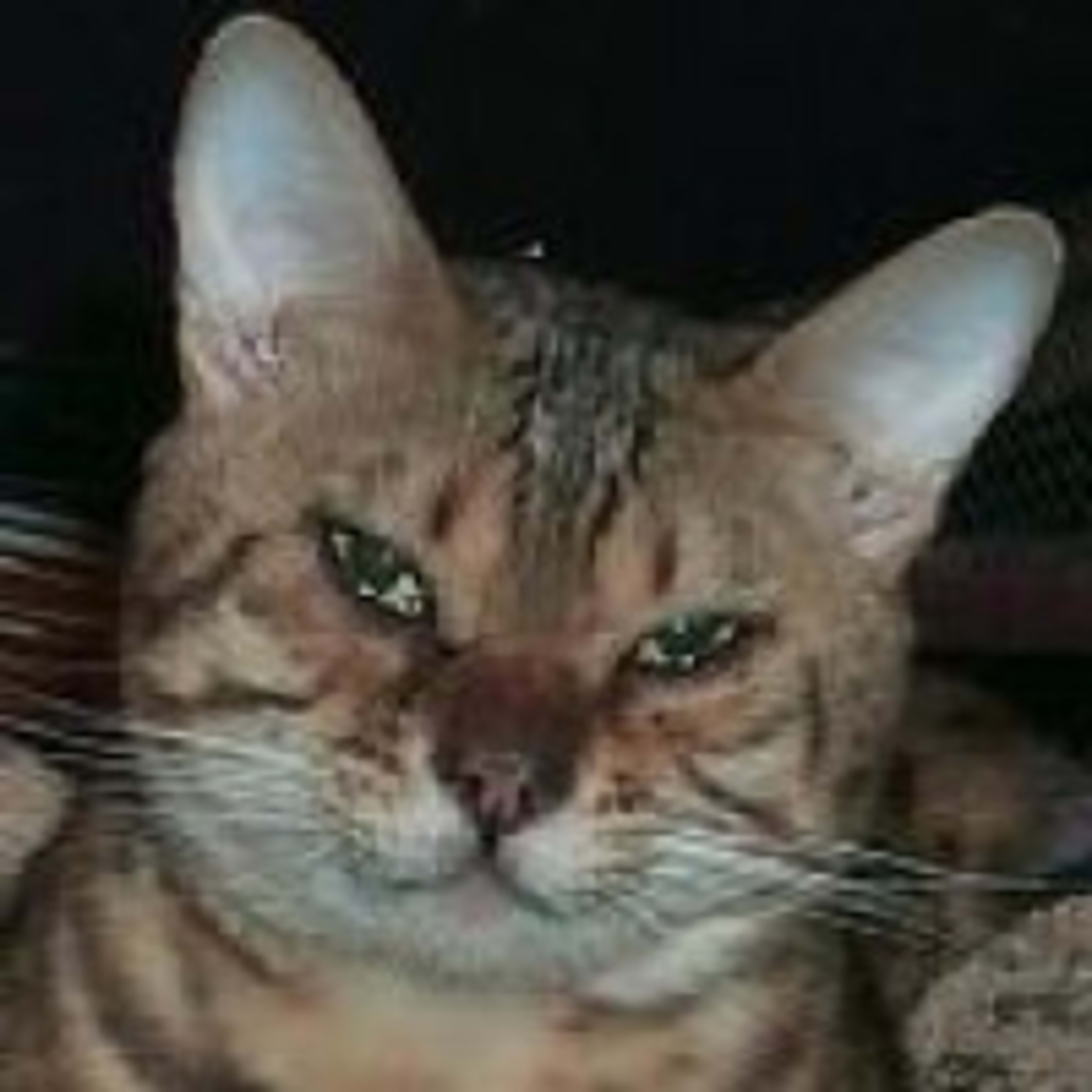 The Most Unethical Science Experiments Conducted on the Unwitting and ...