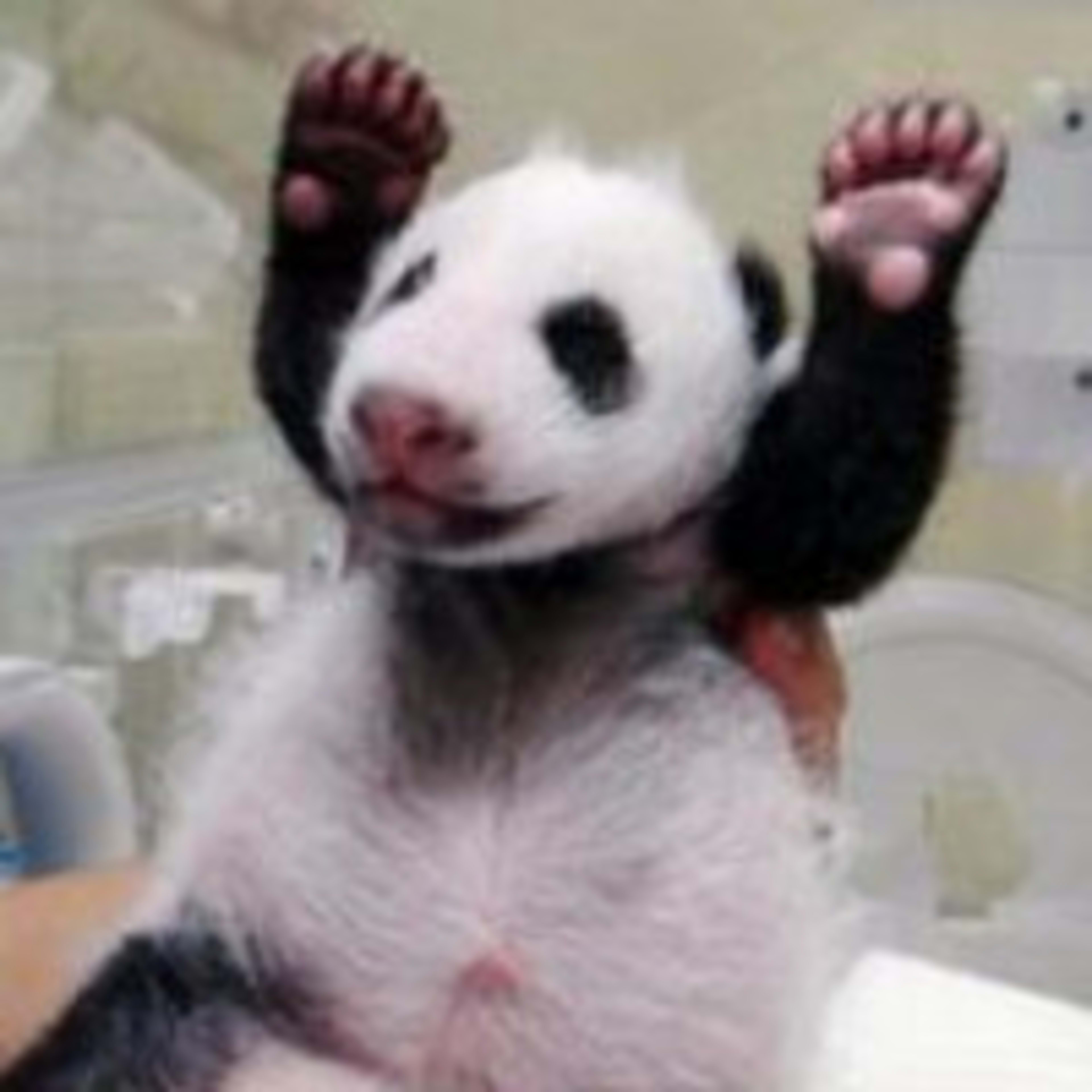 Programming Basics for Beginners: Common Terms, Practices and Principles - Owlcation