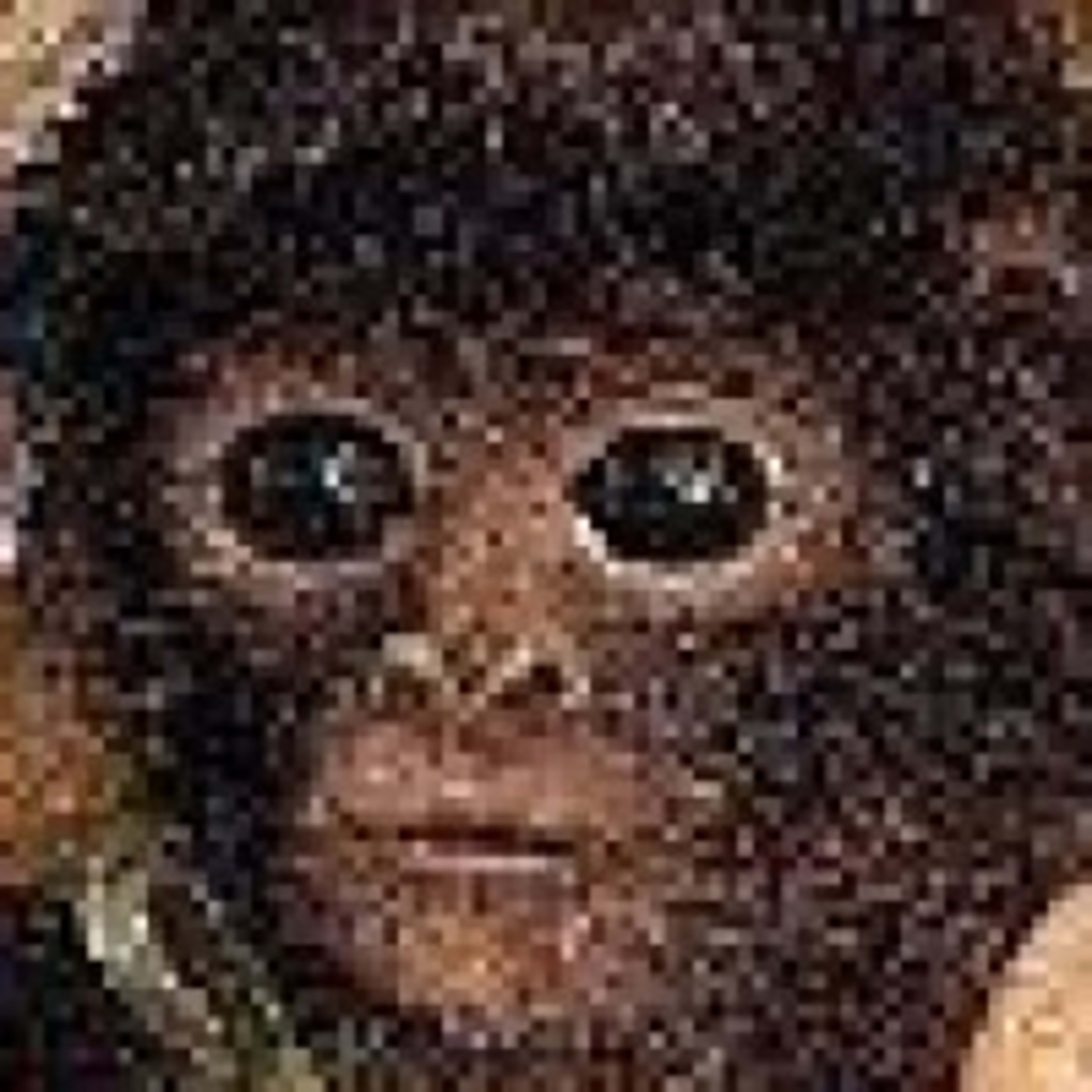 What Is the Job of a Zookeeper? - Owlcation