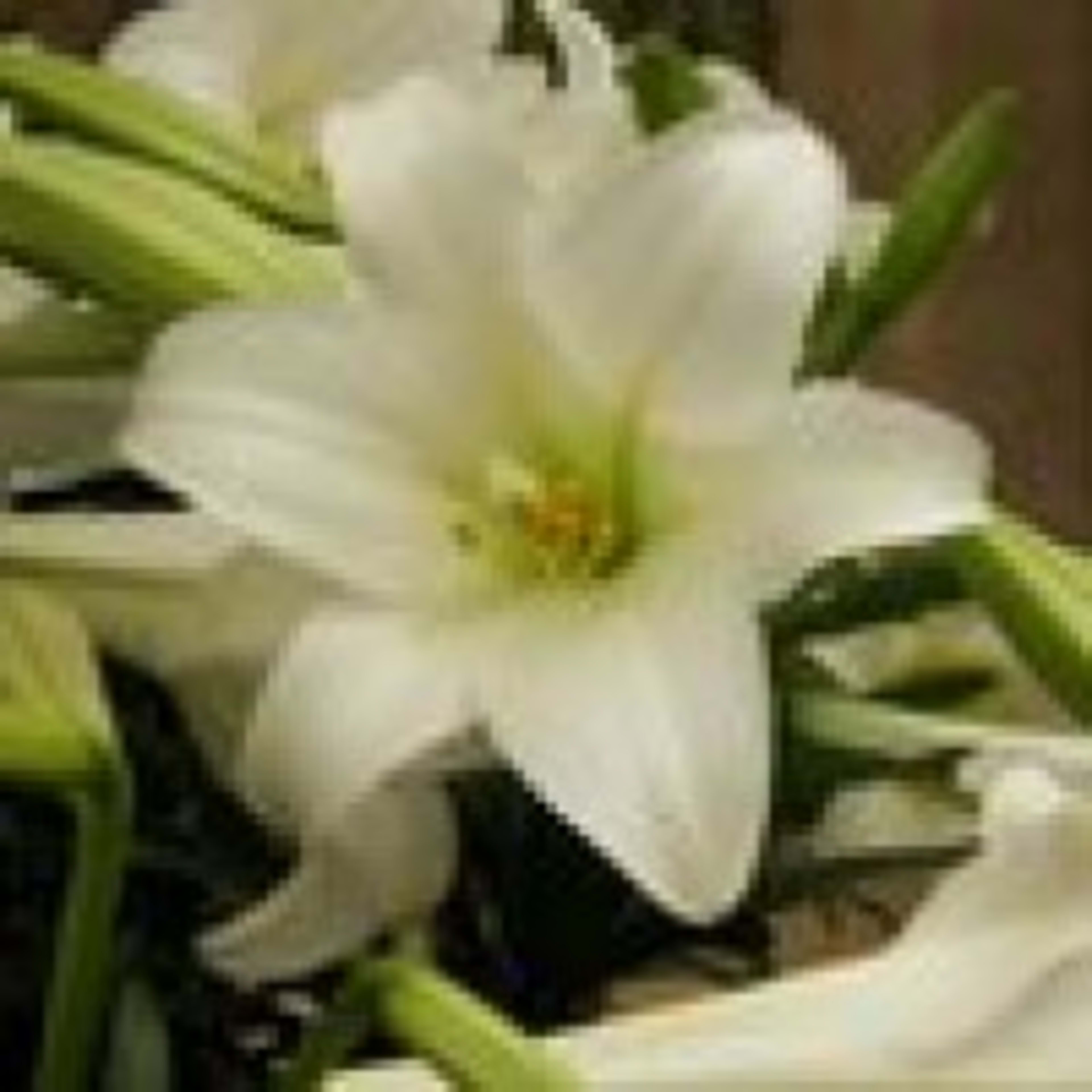 Differences Between Modern and Traditional Ethical Thinking - Owlcation