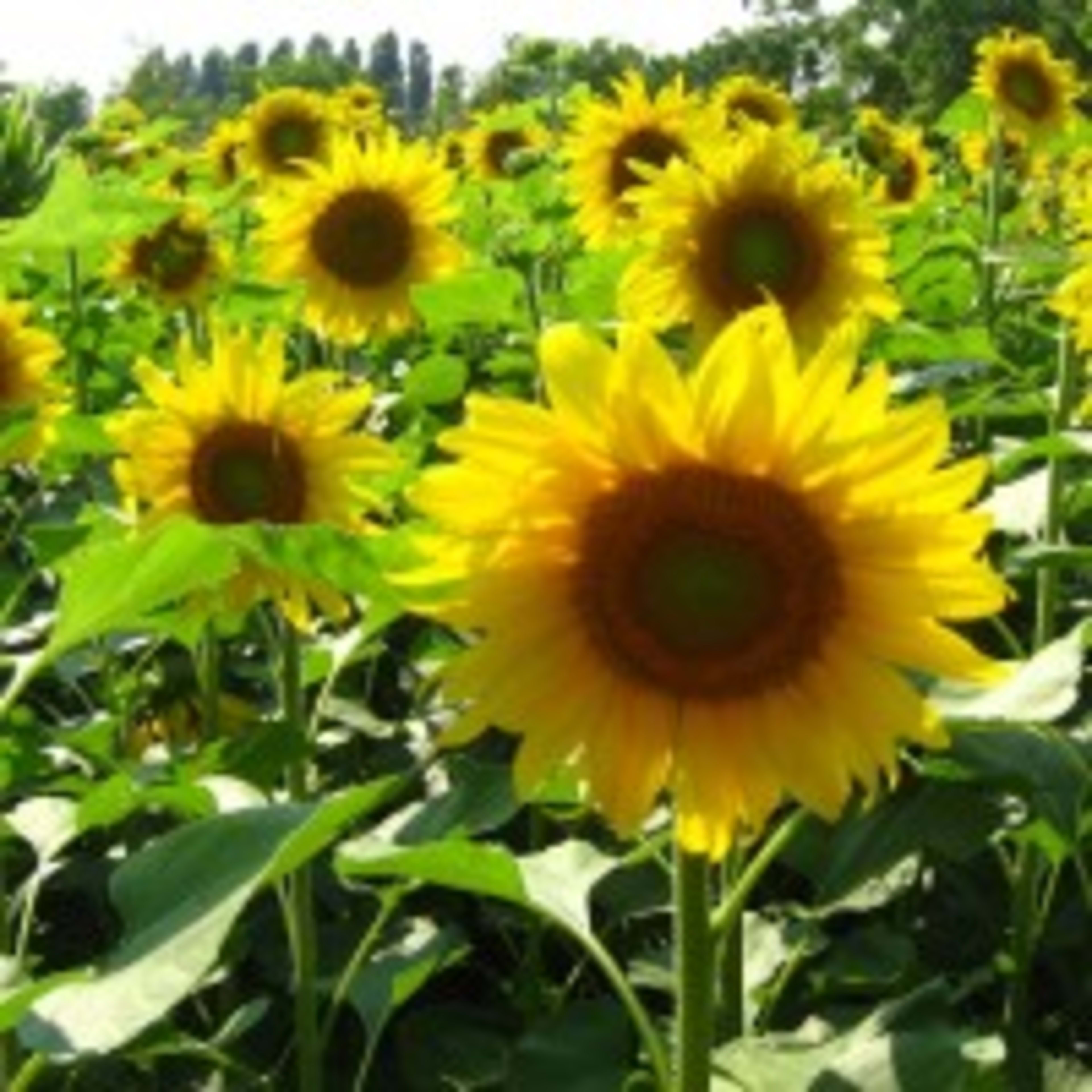 Summary of New Testament Bible Books - Owlcation