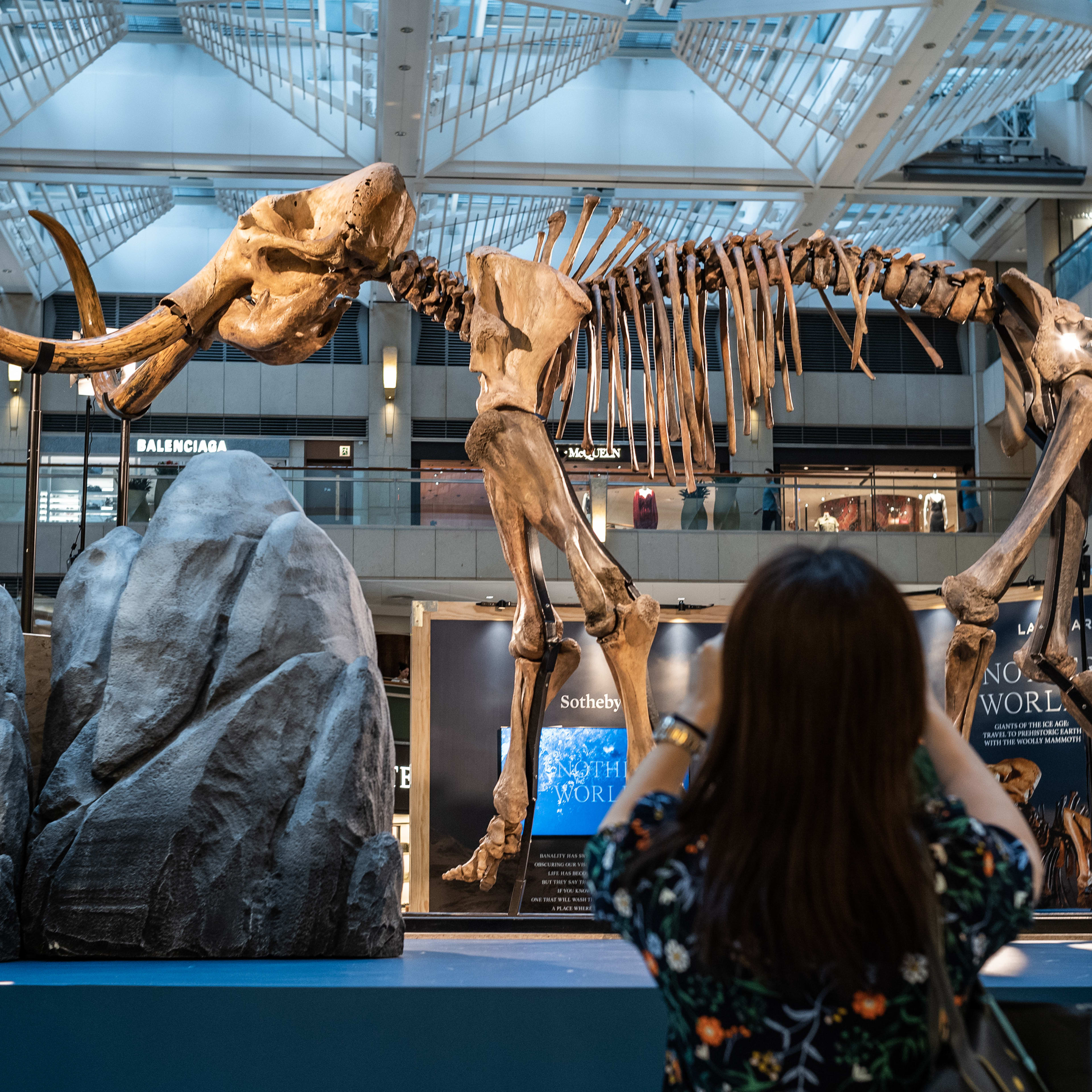 Video Shows 1st Dire Wolf Howl in 10,000 Years - Men's Journal