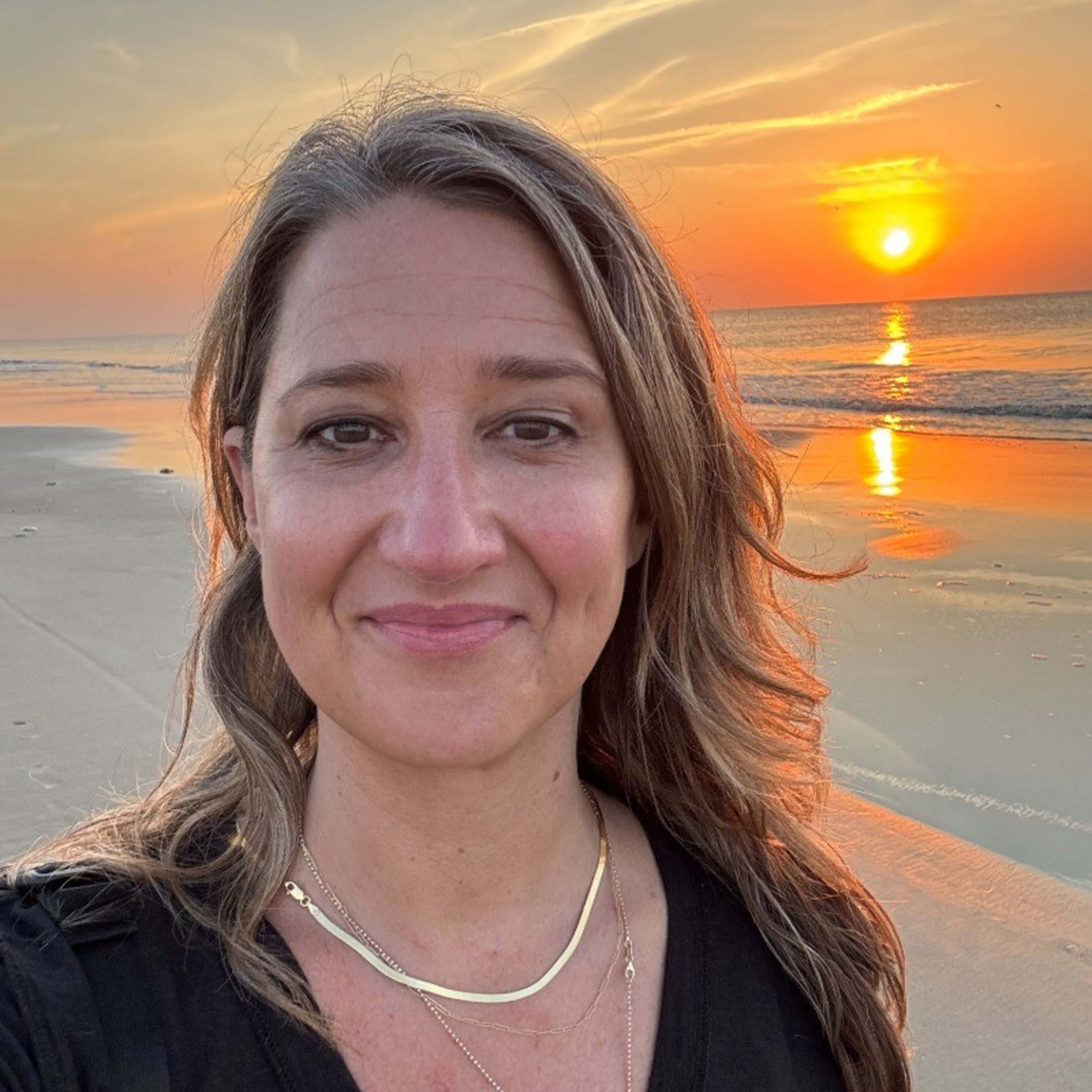 Analysis: Emily Dickinson's "The Brain – is wider than the Sky" - Owlcation