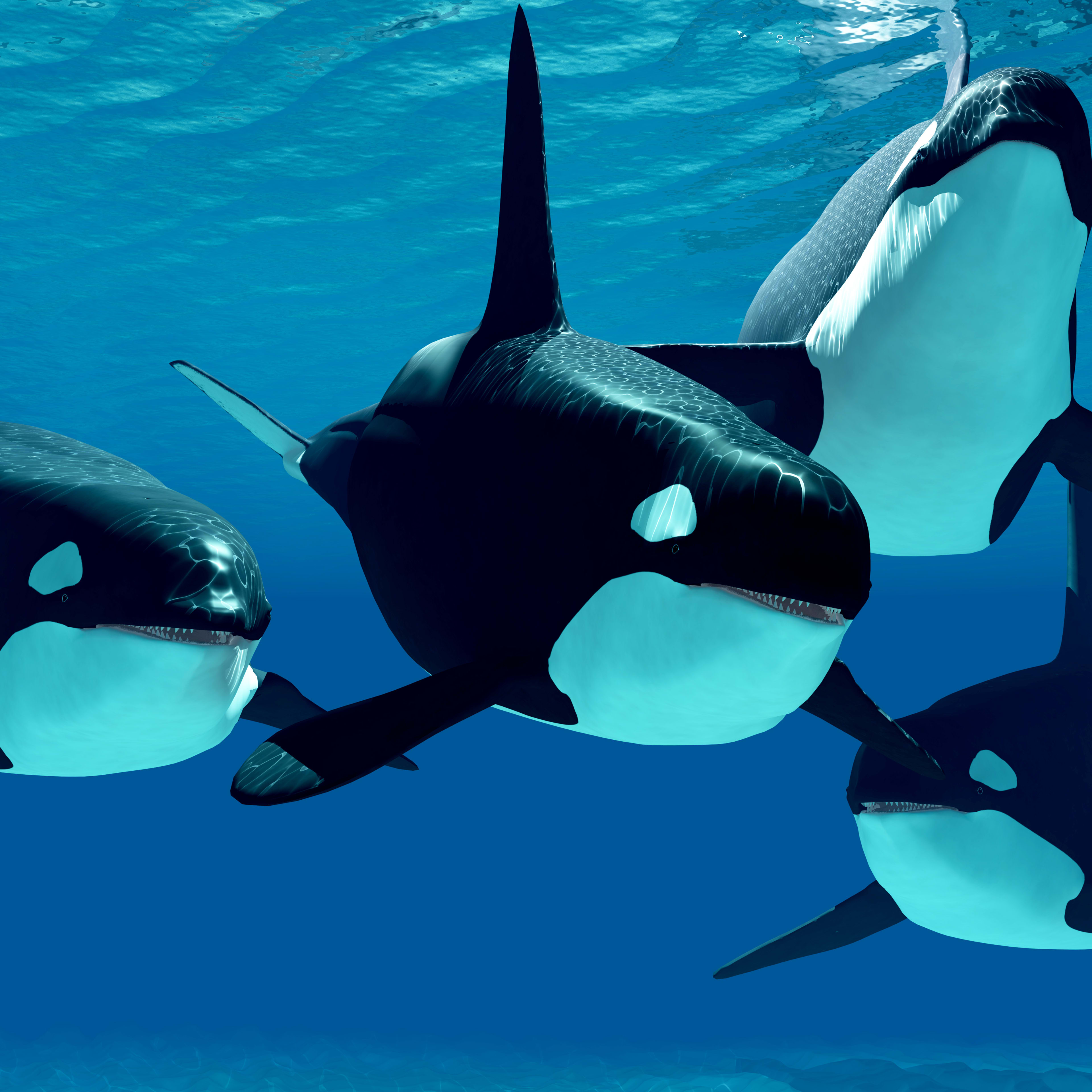 Extreme Mountain Biking Influencer Dies at 48 After Falling Into Ravine ...