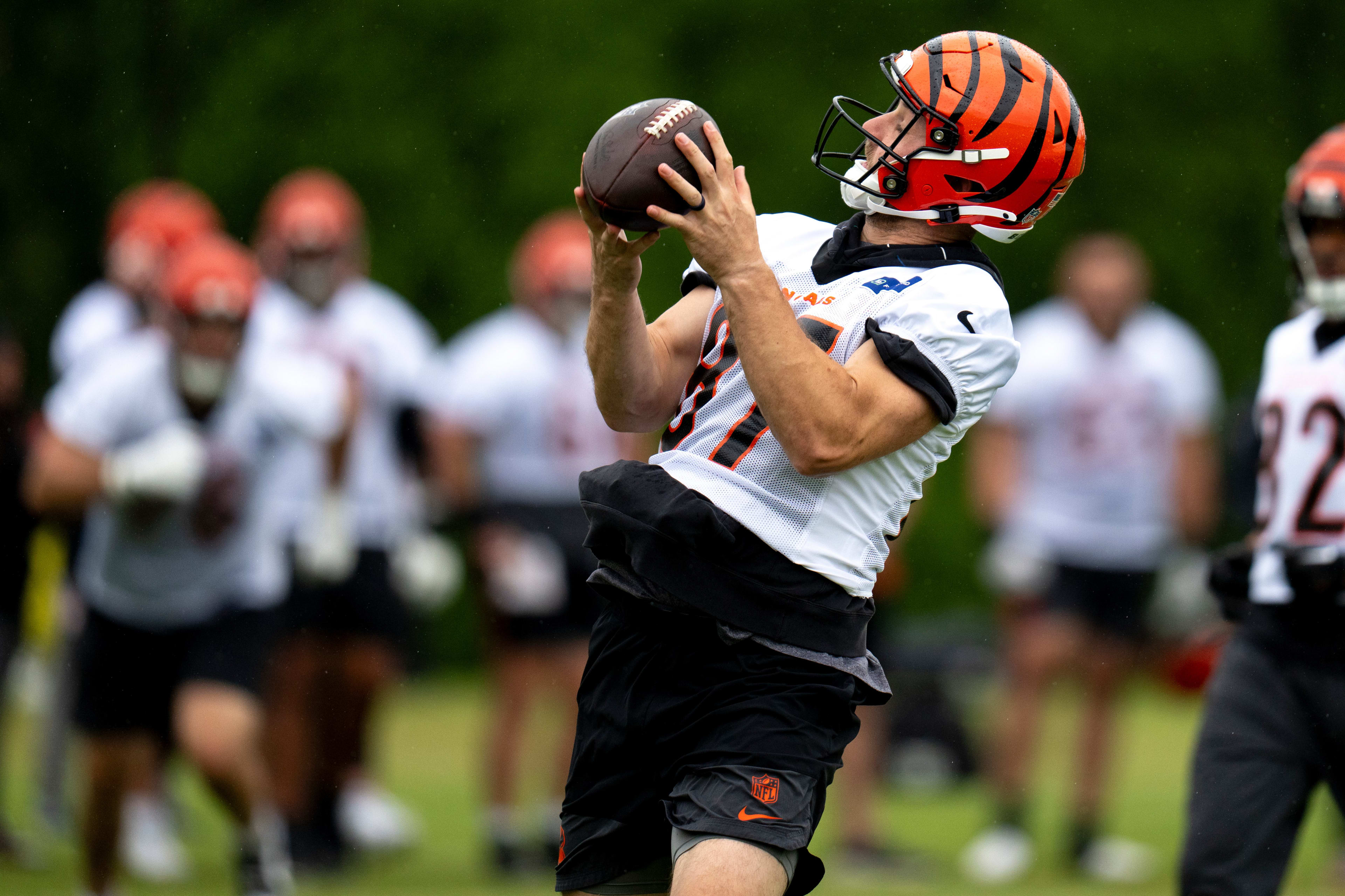 Bengals 2025 Roster Breakdown: Kole Taylor brings more offseason depth to Cincinnati's tight end ...